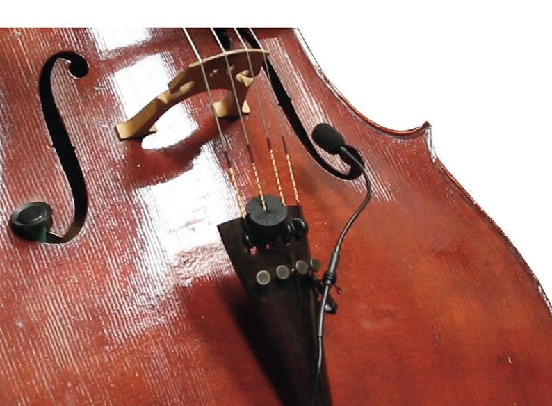 Viennese Cello Microphone, the Feather With Flexible Micro-goose Neck ...
