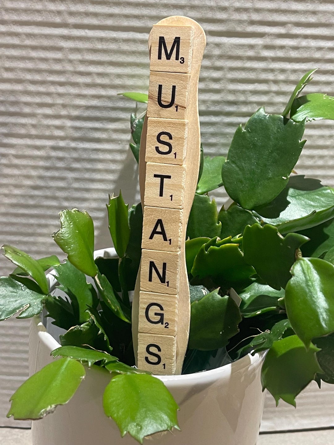 Scrabble Tile Plant Marker – Custom Wooden Plant Stake, Teacher Gift - Etsy