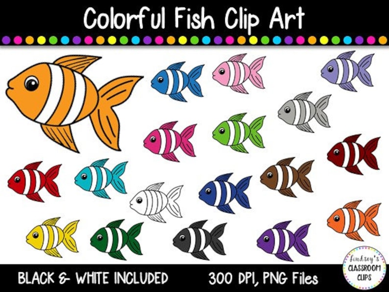 Fish Clip Art - 18 Colorful Fish Included - Etsy