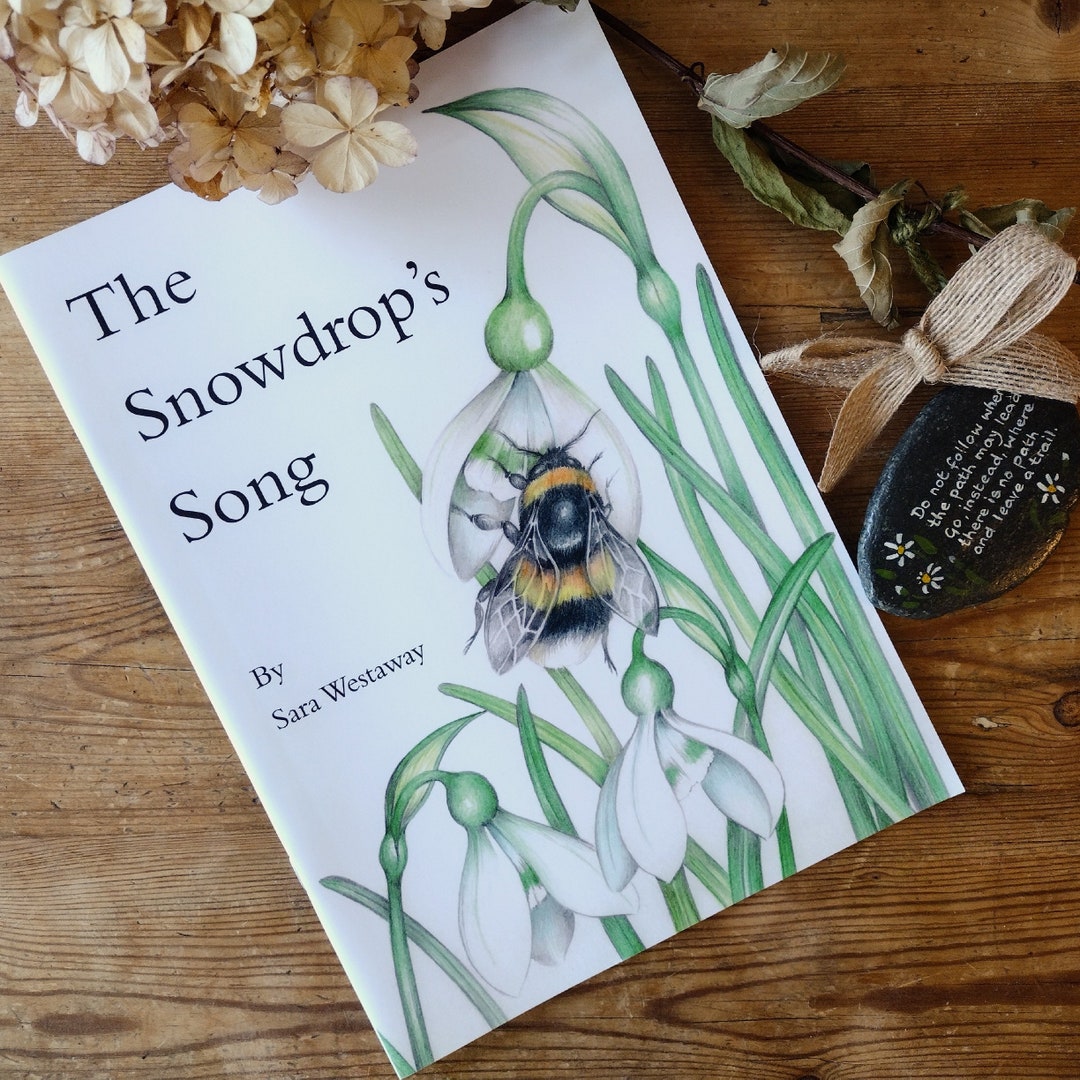 The Snowdrop's Song: Illustrated Children's Book About Nature - Etsy UK