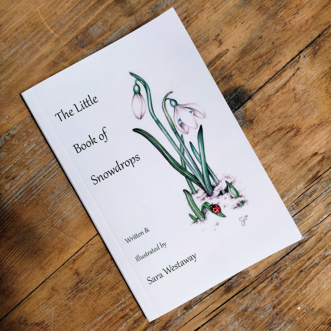 The Little Book of Snowdrops - Illustrated Pocket Guide - Illustration ...