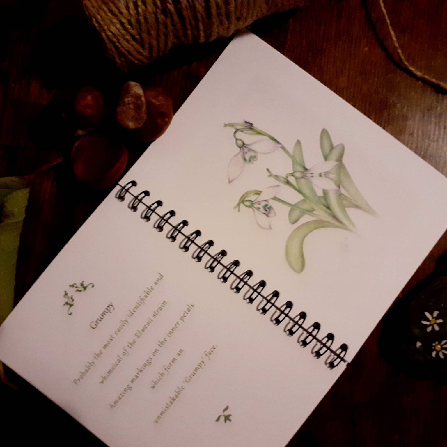 The Little Book of Snowdrops Illustrated Pocket Guide | Etsy