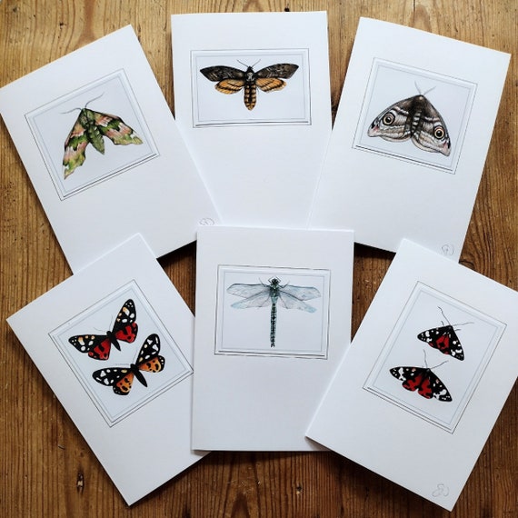 Moth Cards Set of Six Cards Art Cards Blank Inside - Etsy