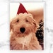 Goldendoodle Christmas Card, Dog X-mas Card, Print Your Own, A1 or A2 ...