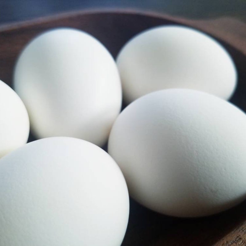 Duck Egg Season - Etsy