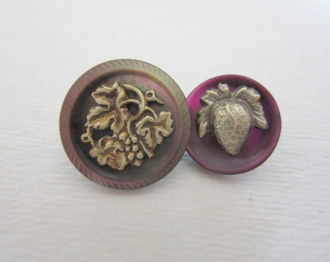 2 Small Antique Shell Sewing Buttons Brass Escutcheon Grapes and ...
