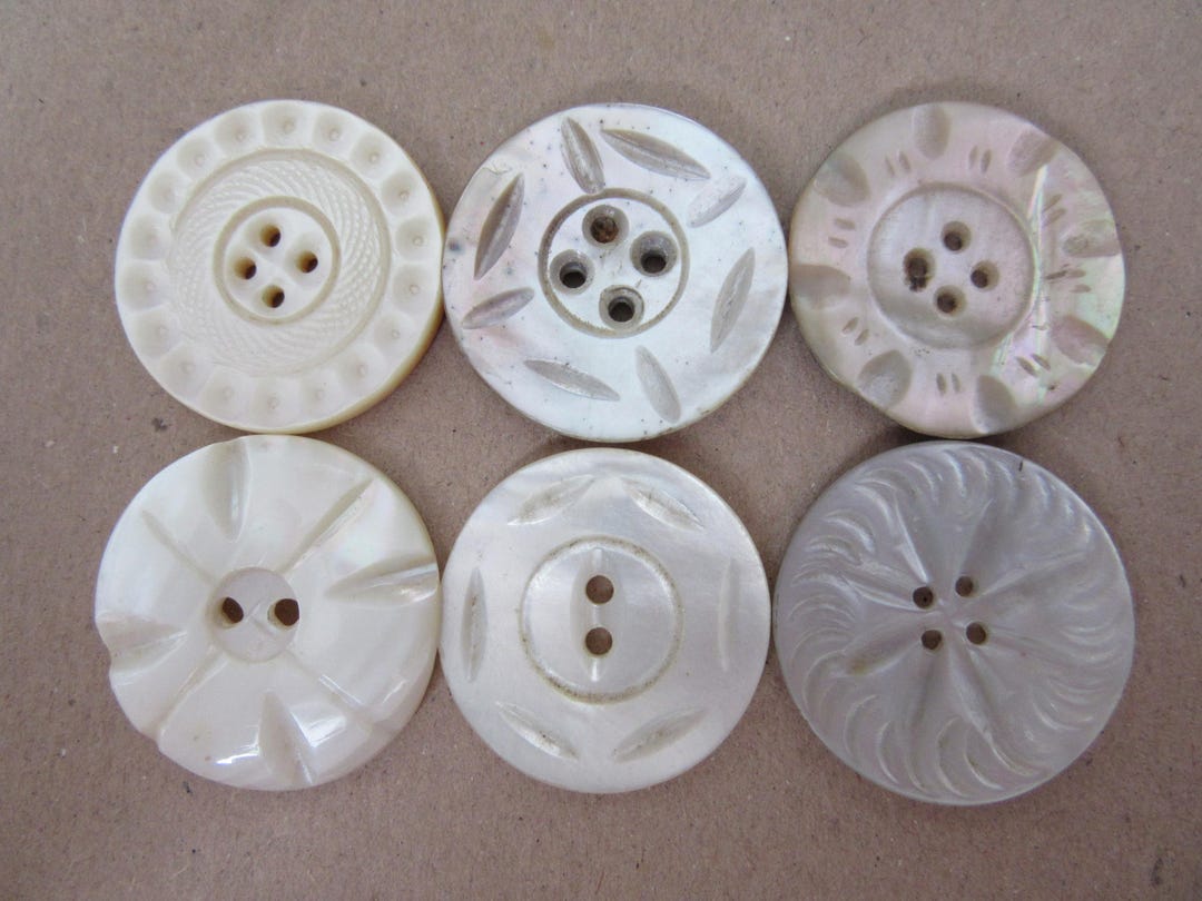 6 Medium (1"+) Vintage Carved Shell Sewing Buttons - Embellishments ...