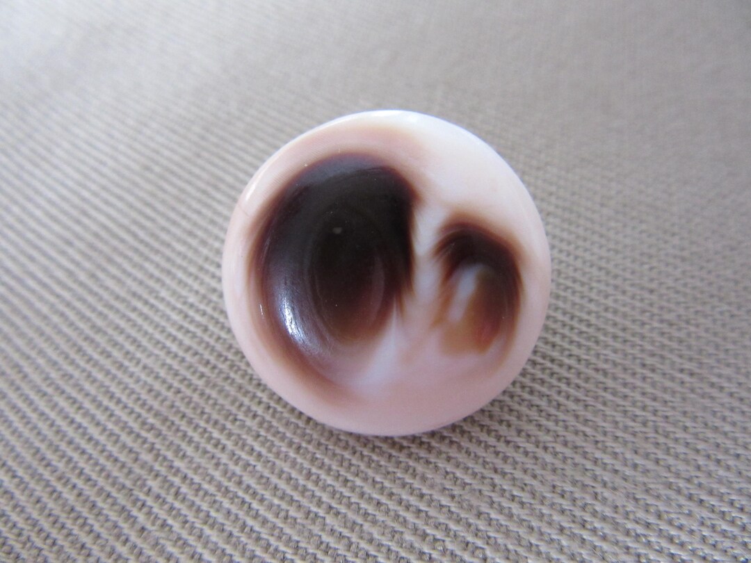 Medium Antique Operculum Shell Sewing Button Chunky Nice Collector Item ...