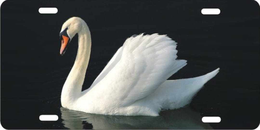 Swan Personalized Custom Novelty License Plate - Etsy