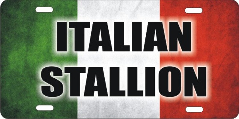 Personalized Custom Novelty License Plate Italian Flag Italian Stallion ...