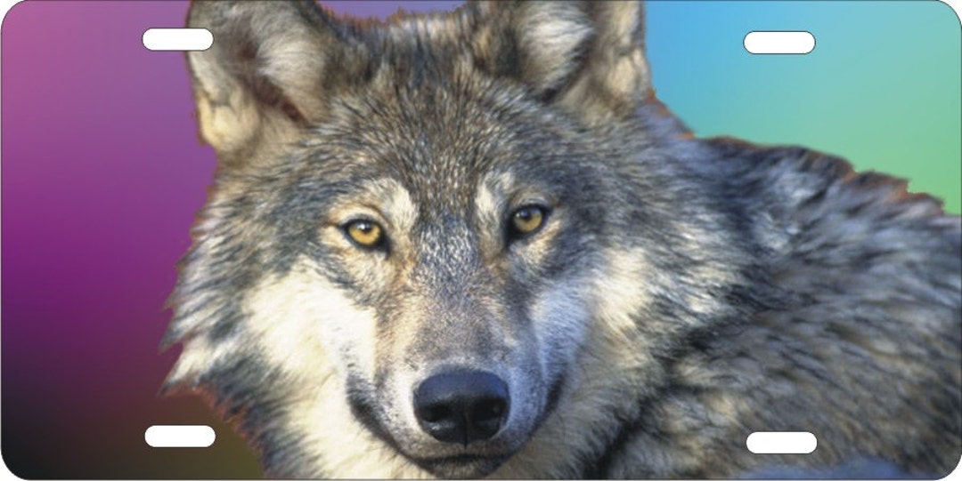 Custom Vanity License Plate Wolf Personalized Novelty Auto Front Plate ...