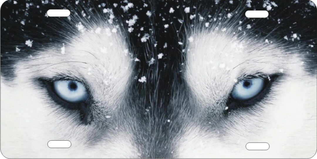Wolf Eyes Custom Vanity License Plate Personalized Novelty Auto Front ...