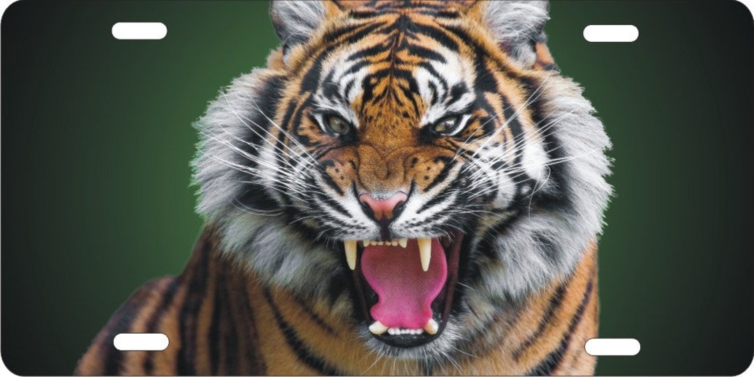 Tiger Roar Personalized Custom Vanity Novelty Front License Plate ...