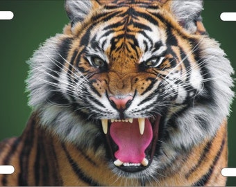 Front License Plate Tiger - Etsy