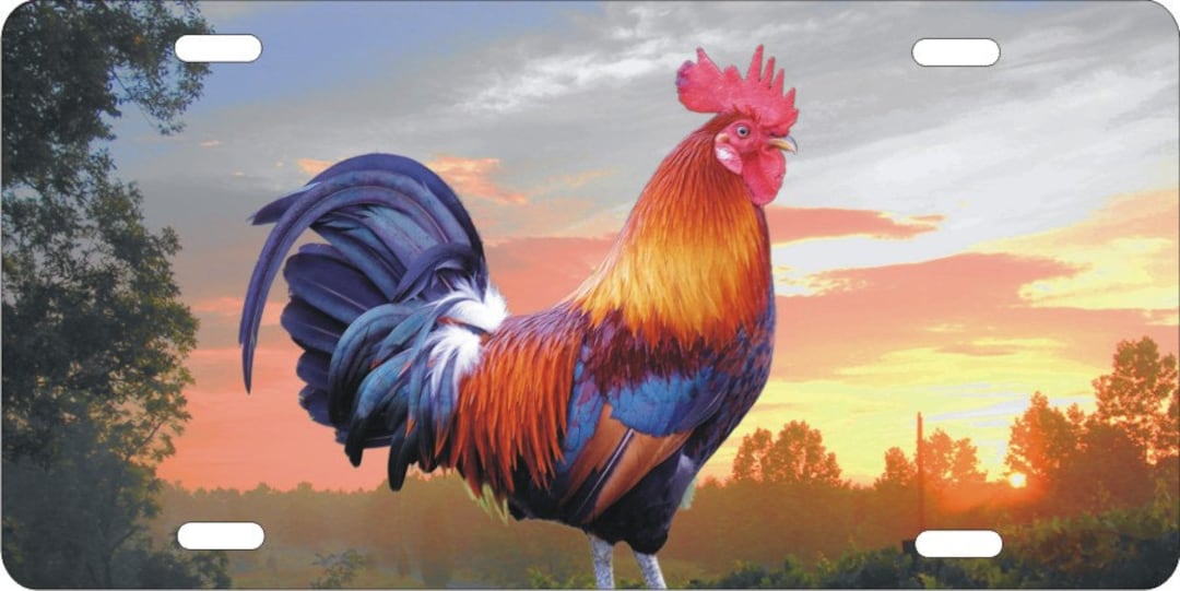 Rooster Chicken Personalized Custom Novelty Vanity Front License Plate ...