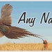 Pheasant Hunting Personalized Custom Novelty Front License Plate ...