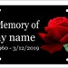 In Loving Memory Red Rose Personalized Custom Novelty License Plate ...