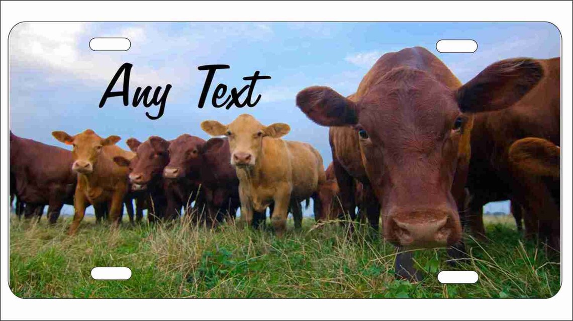 Beef Cattle Farm License Plate Personalized Novelty Cow Farm Decorative ...