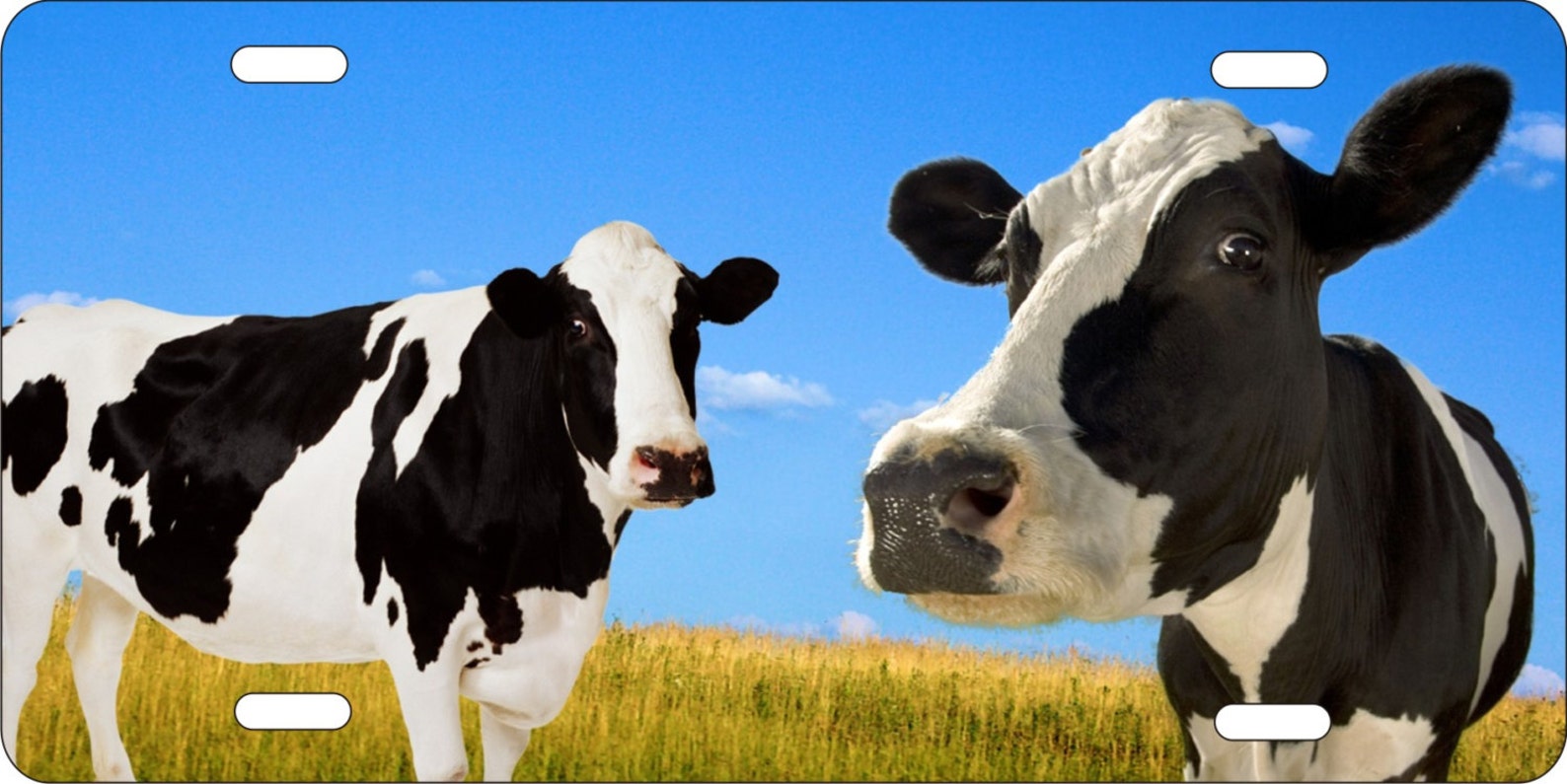 Personalized Custom License Plate Cows - Etsy