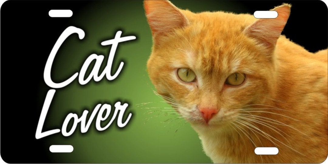 Cat Lover Personalized Custom Novelty Vanity Front License Plate - Etsy