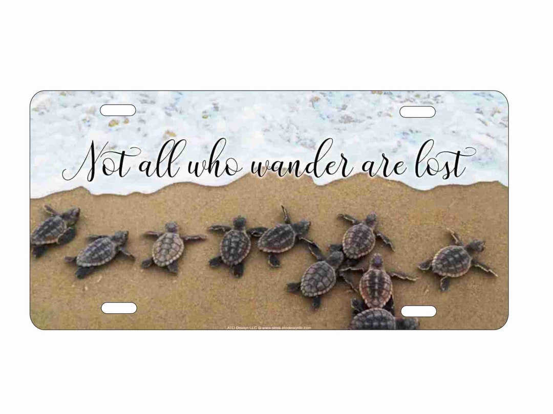 Not All Who Wander Are Lost Sea Turtle Hatchlings Novelty Front License ...