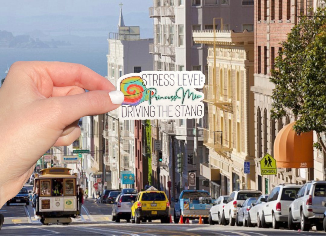 Magical Decal, Princess Mia Decal, Stress Level Decal, Princess Diaries ...