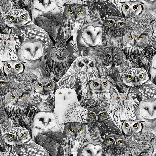 Realistic Owls - Etsy