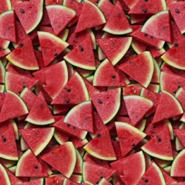 Watermelon Fabric - Etsy