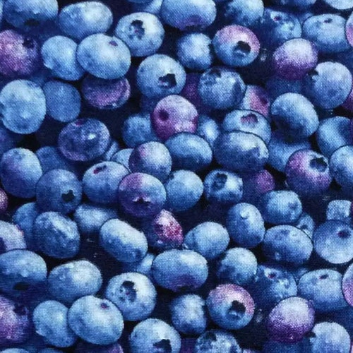 Realistic Blueberries Fabric Elizabeths Studio 509 Fruit | Etsy