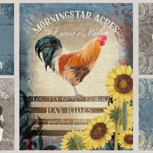 Farm Fabric Panel, Roosters, Dairy Cow, Sheep, P & B Textiles Farm ...