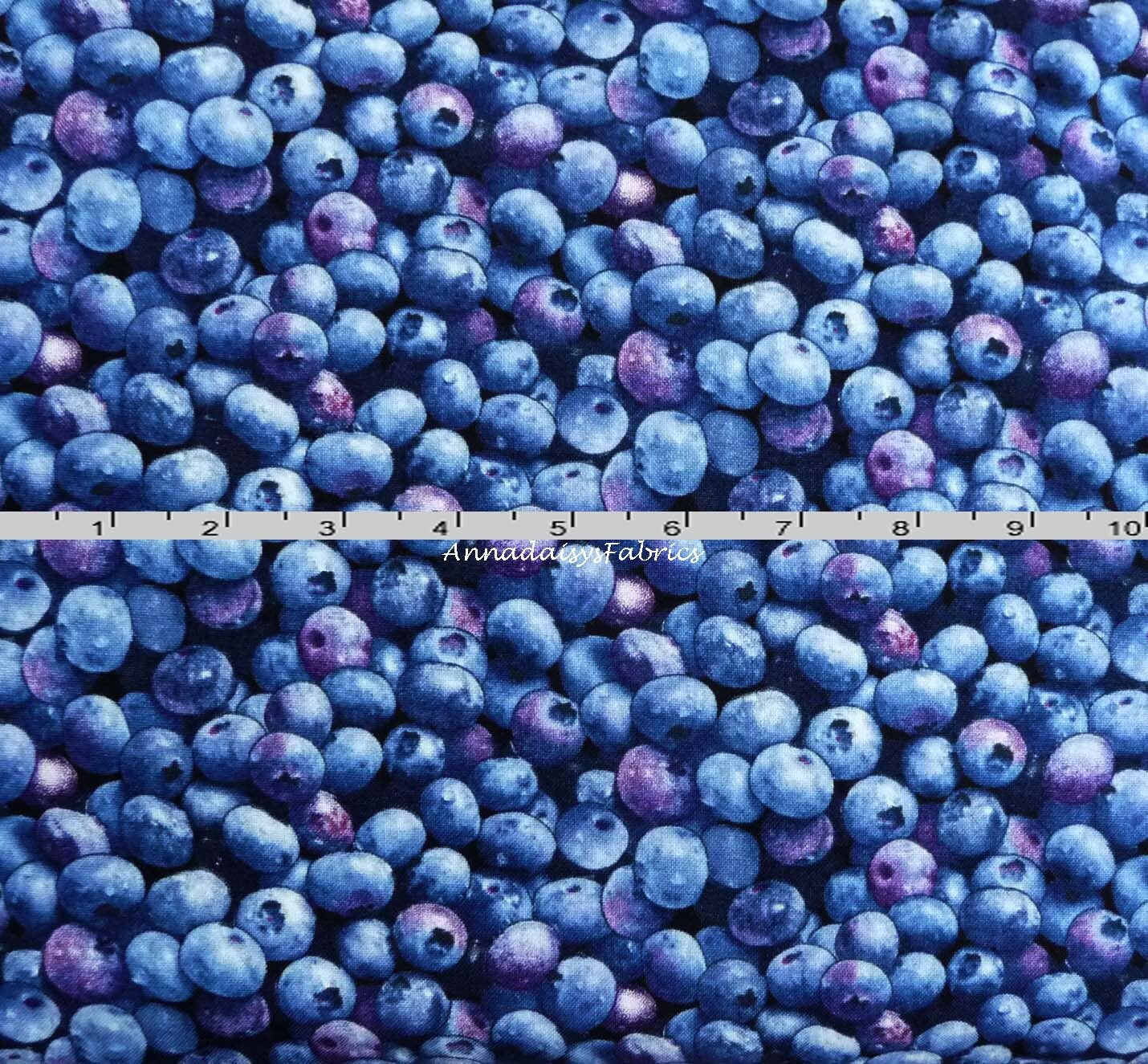 Realistic Blueberries Fabric Elizabeths Studio 509 Fruit - Etsy