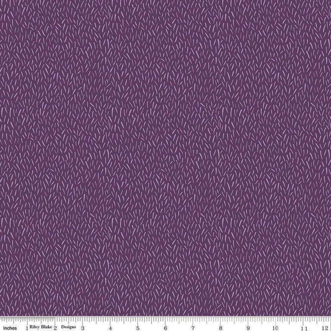 Tone on Tone Purple Blender Fabric Riley Blake Arid Oasis C12496 Grape ...