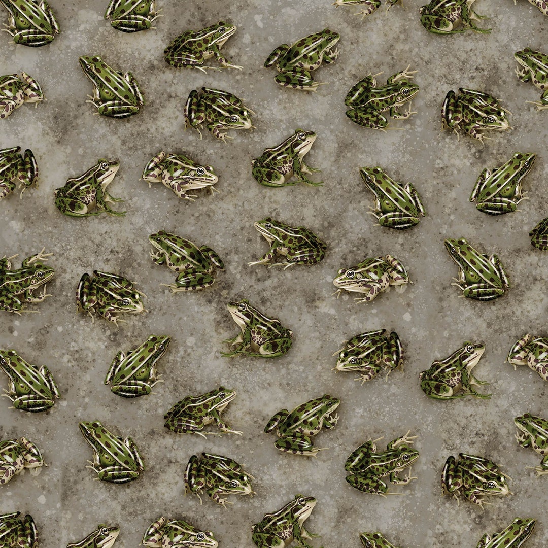 Realistic Spotted Frogs Fabric, Timeless Treasures Backyard Wildlife ...