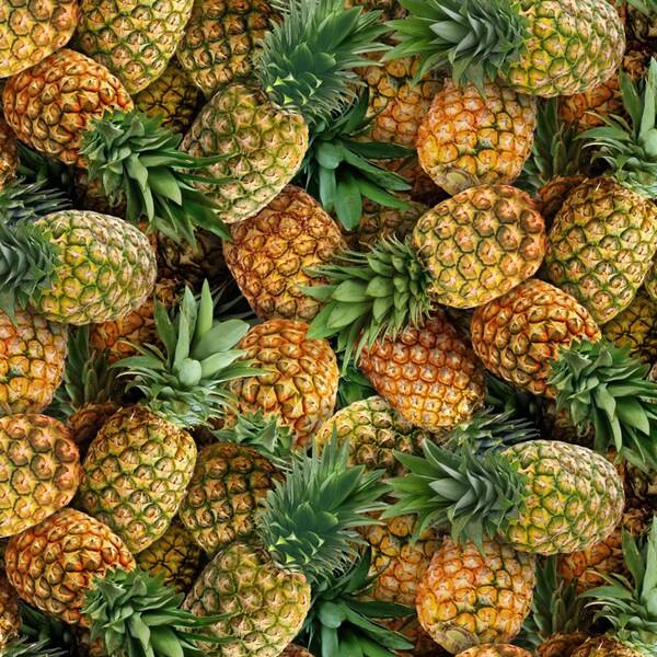 Pineapple Fabric - Etsy