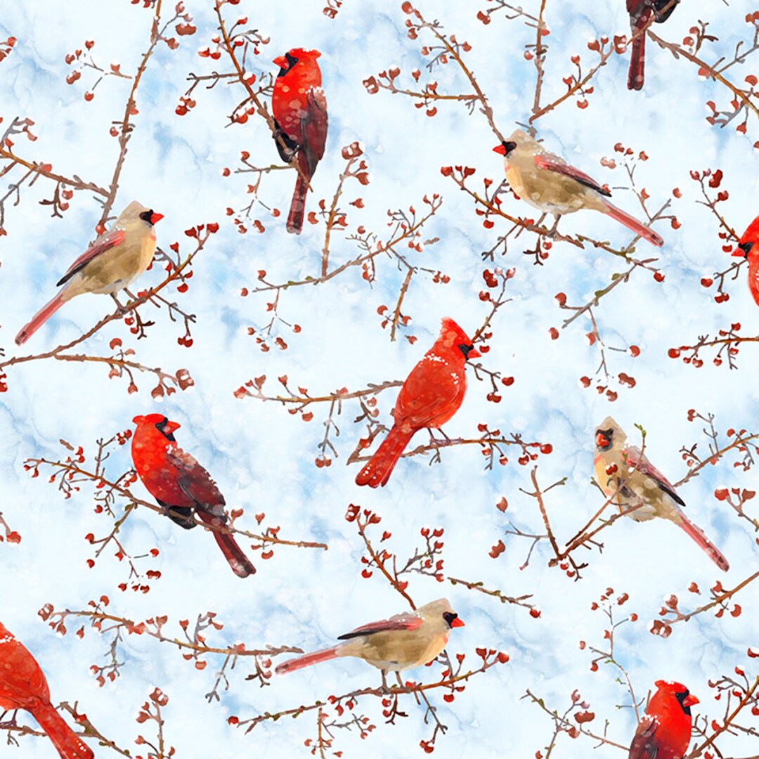 Female & Male Cardinals Fabric, Timeless Treasure Winter Woods CD1217 ...