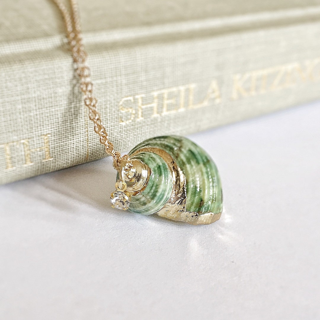 Natural Green Turbo Necklace Real Sea Shell Scallop Turban - Etsy