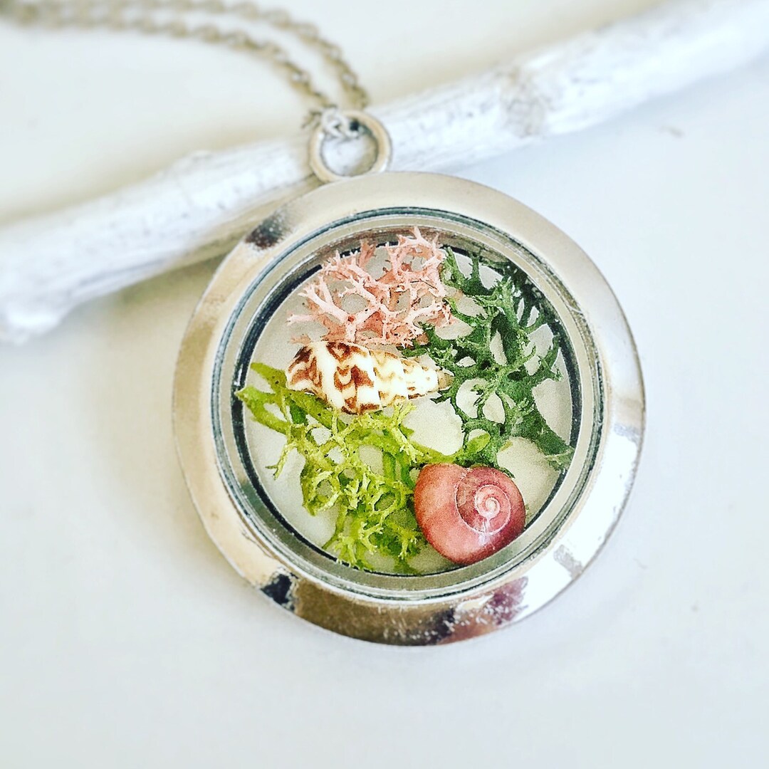 Real Shell Conch Necklace – Ocean-inspired Floating Locket With Pink ...