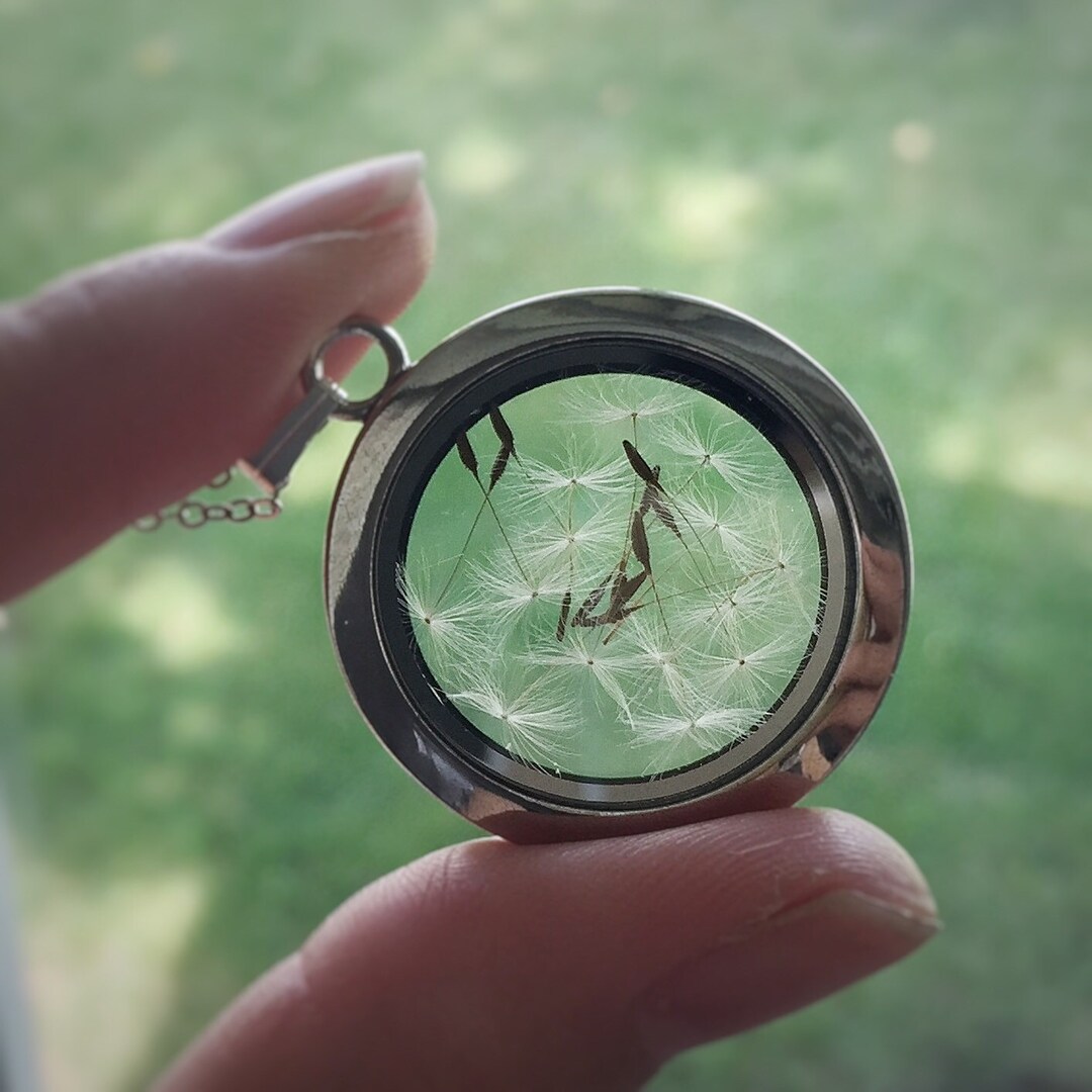 Dandelion Wish Necklace – Floating Glass Locket With Real Dried Flower ...