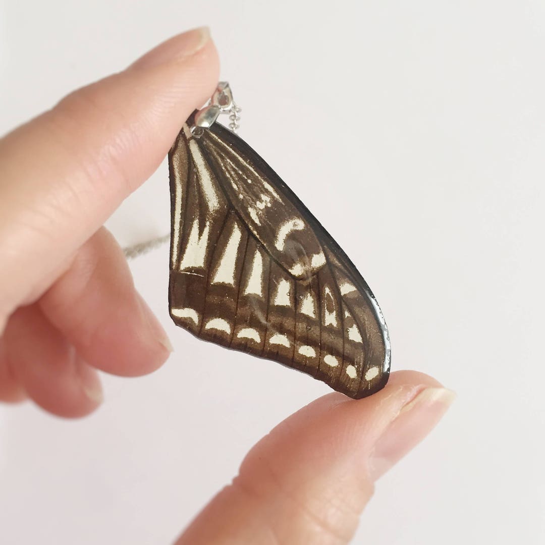 Asian Chinese Swallowtail Necklace, Xuthus Swallowtail, Butterfly's ...