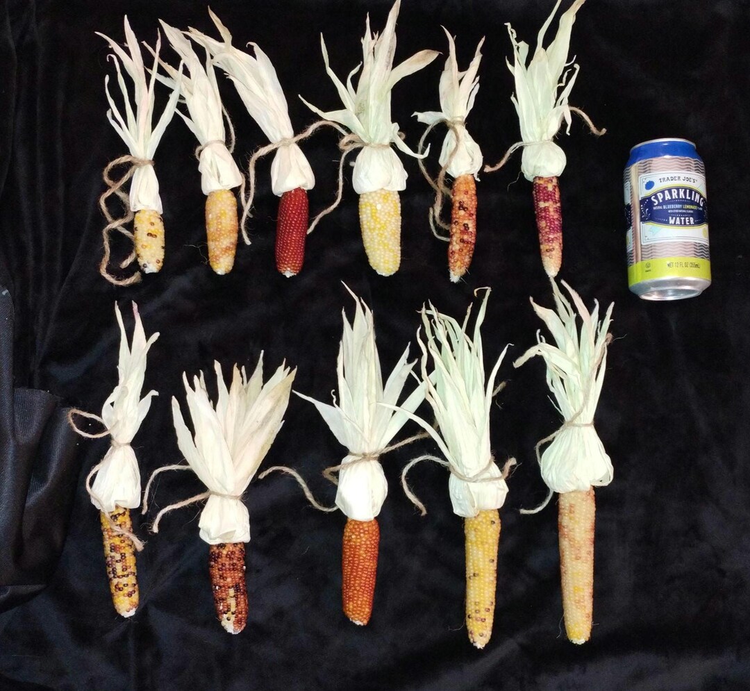 Homegrown Mini Indian Corn, Set of 3 - Etsy