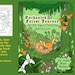 Enchanted Forest Journey: an All Ages Coloring Adventure - Etsy