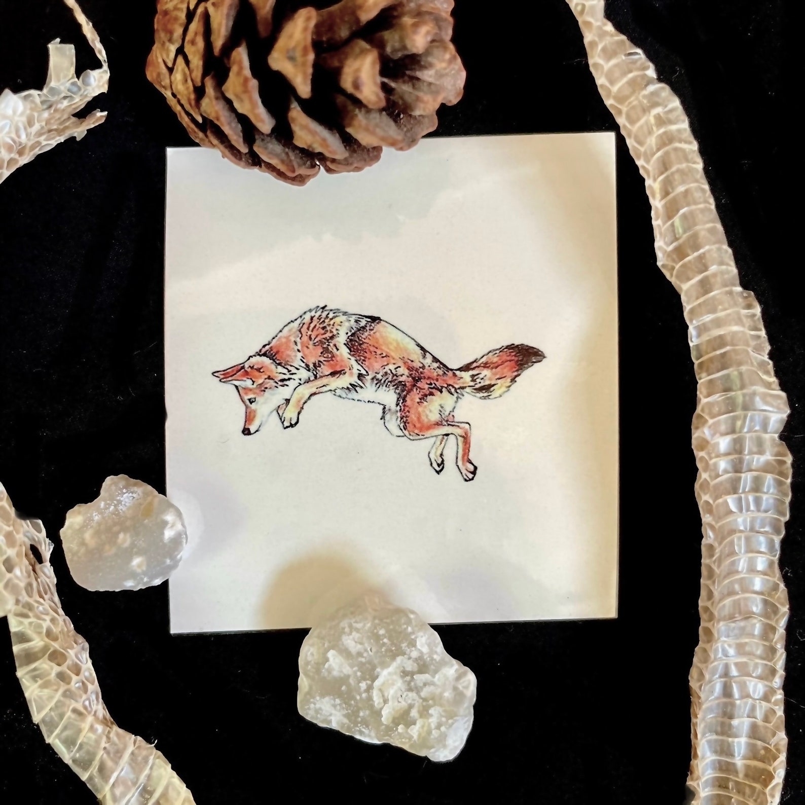 Wildlife Temporary Tattoos Multipack - Etsy