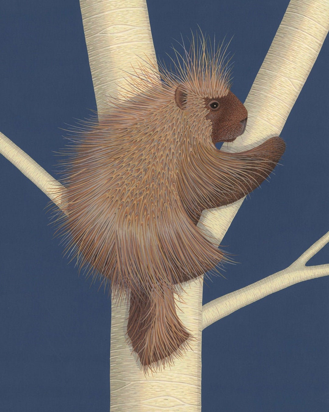 Porcupine: Wildlife, Art, Illustration, Painting, Print - Etsy