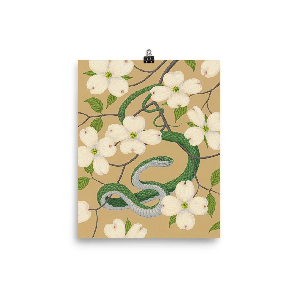 Greensnake in Dogwood: Snake, Wildlife, Art, Illustration, Painting ...