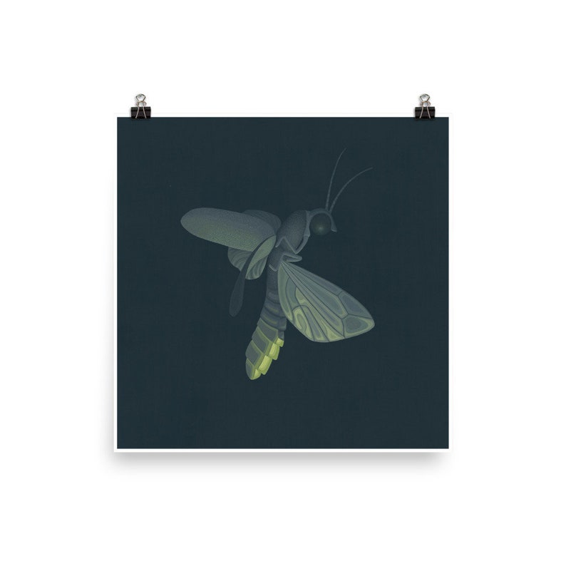 Firefly: Insect, Wildlife, Art, Illustration, Painting, Print - Etsy
