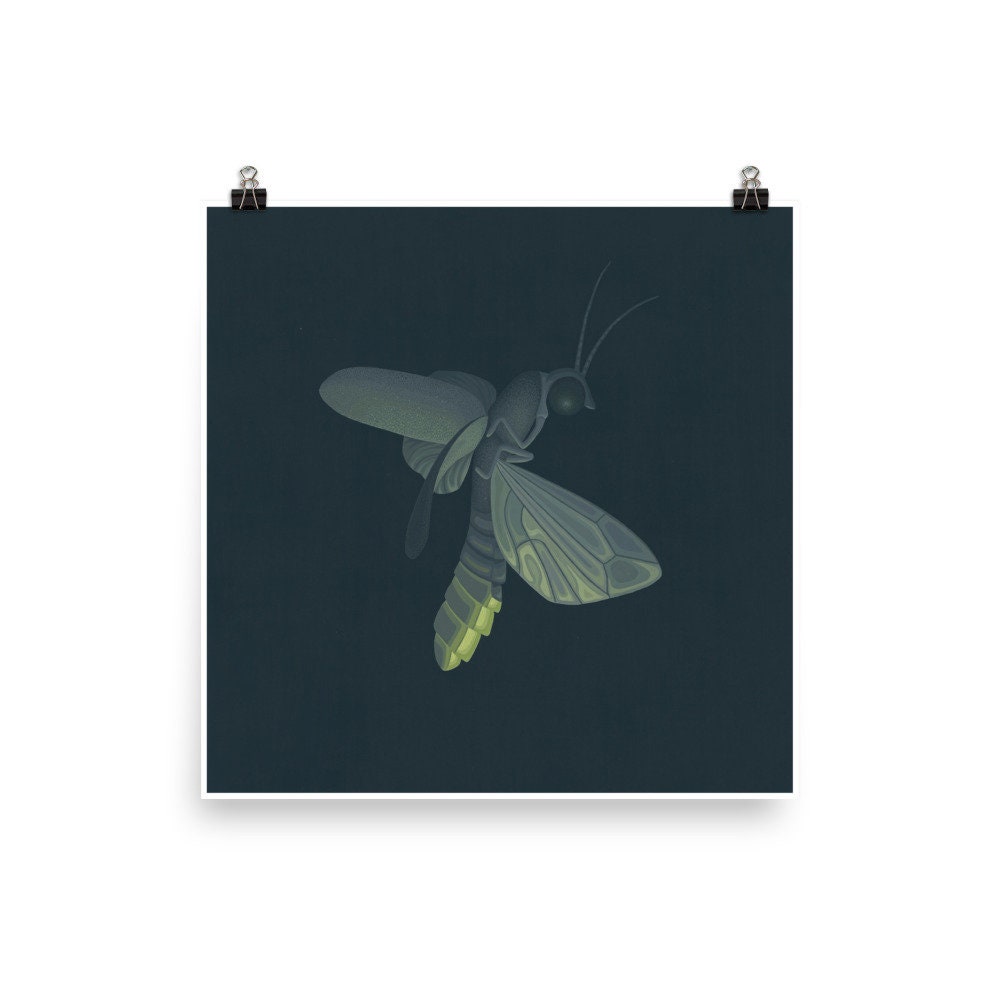 Firefly: Insect, Wildlife, Art, Illustration, Painting, Print - Etsy