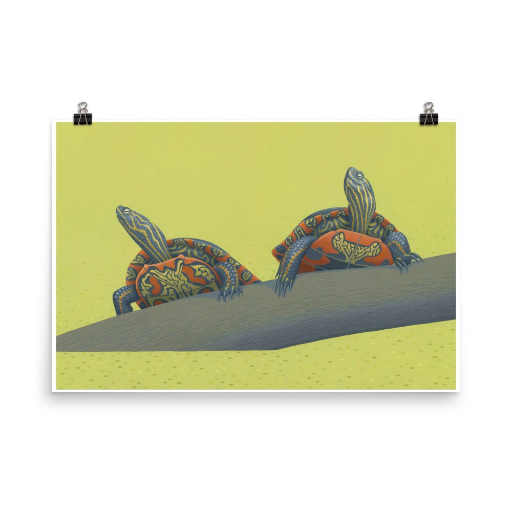 Painted Turtles: wildlife, art, illustration, painting, print - Etsy.de