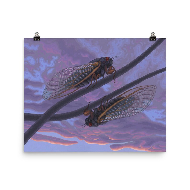 Periodical Cicadas: Insect, Wildlife, Art, Illustration, Painting ...