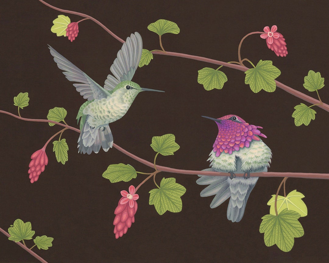 Anna's Hummingbirds: Bird, Wildlife, Art, Illustration, Painting, Print ...