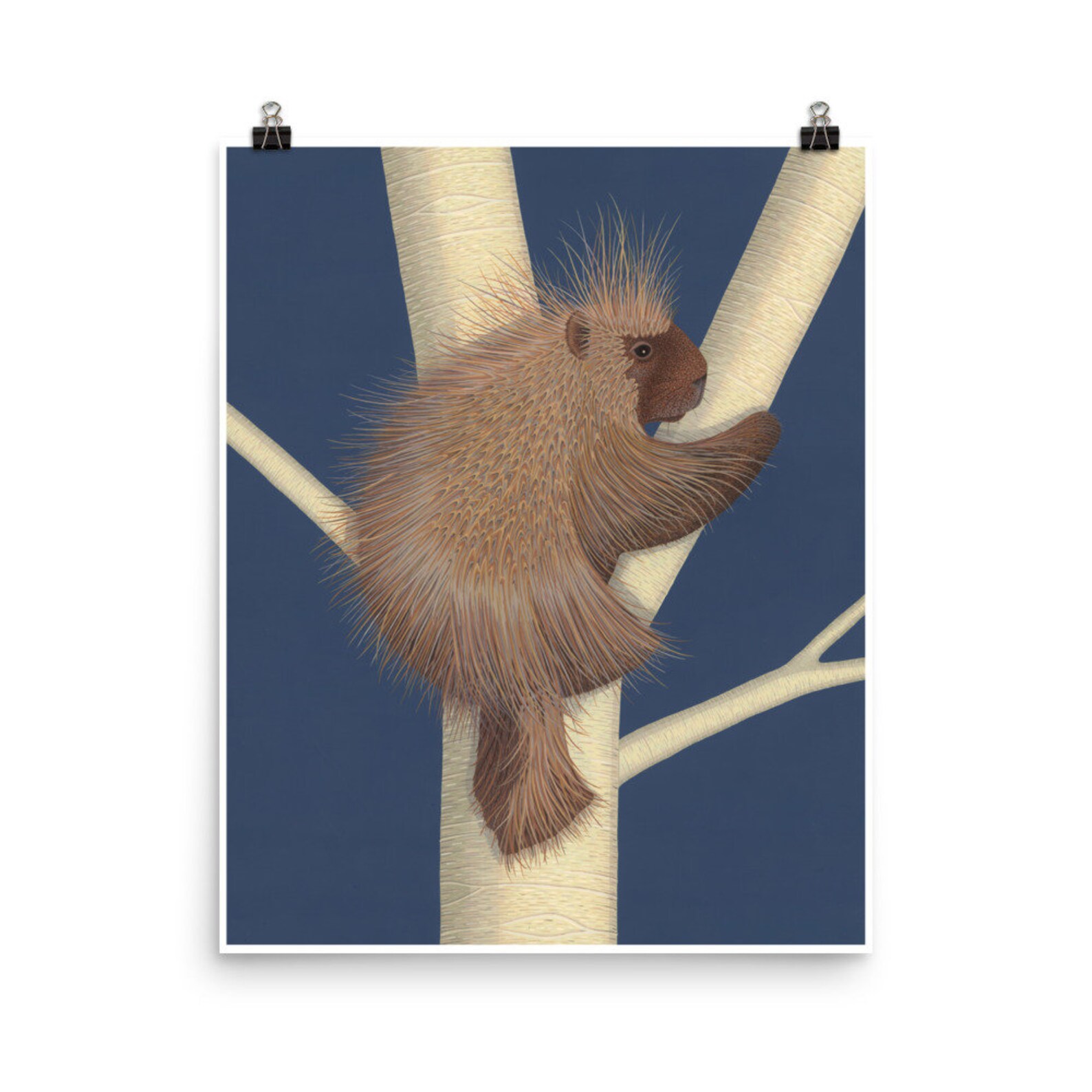 Porcupine: Wildlife, Art, Illustration, Painting, Print - Etsy